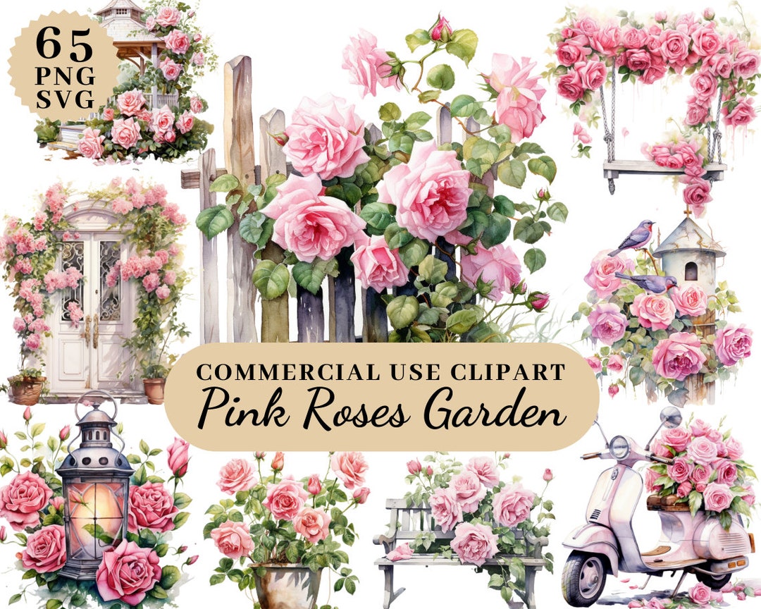 Watercolor Pink Roses Garden Clipart, Wedding Clipart, Botanical Pink ...