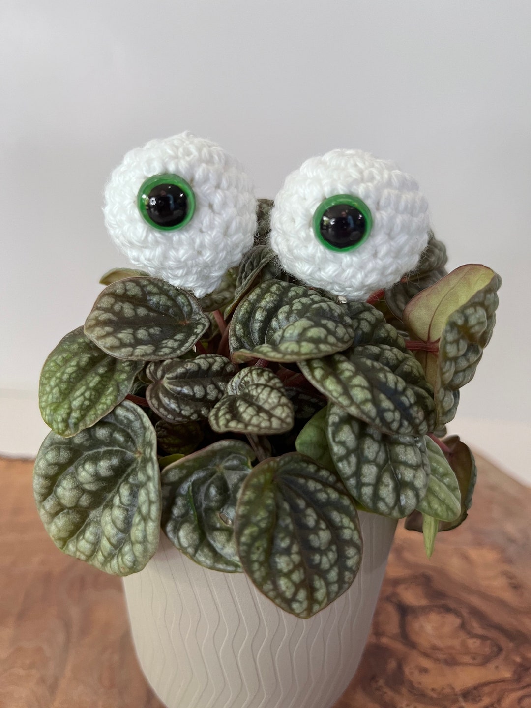 Tiny Eyes for Plants / Plant Eyes / Plant Gift - Etsy