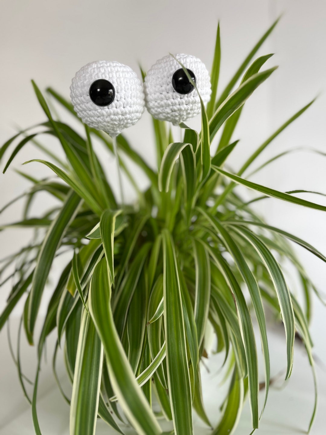 Handmade Plant Eyes: Cotton Yarn Plant Decor - Etsy