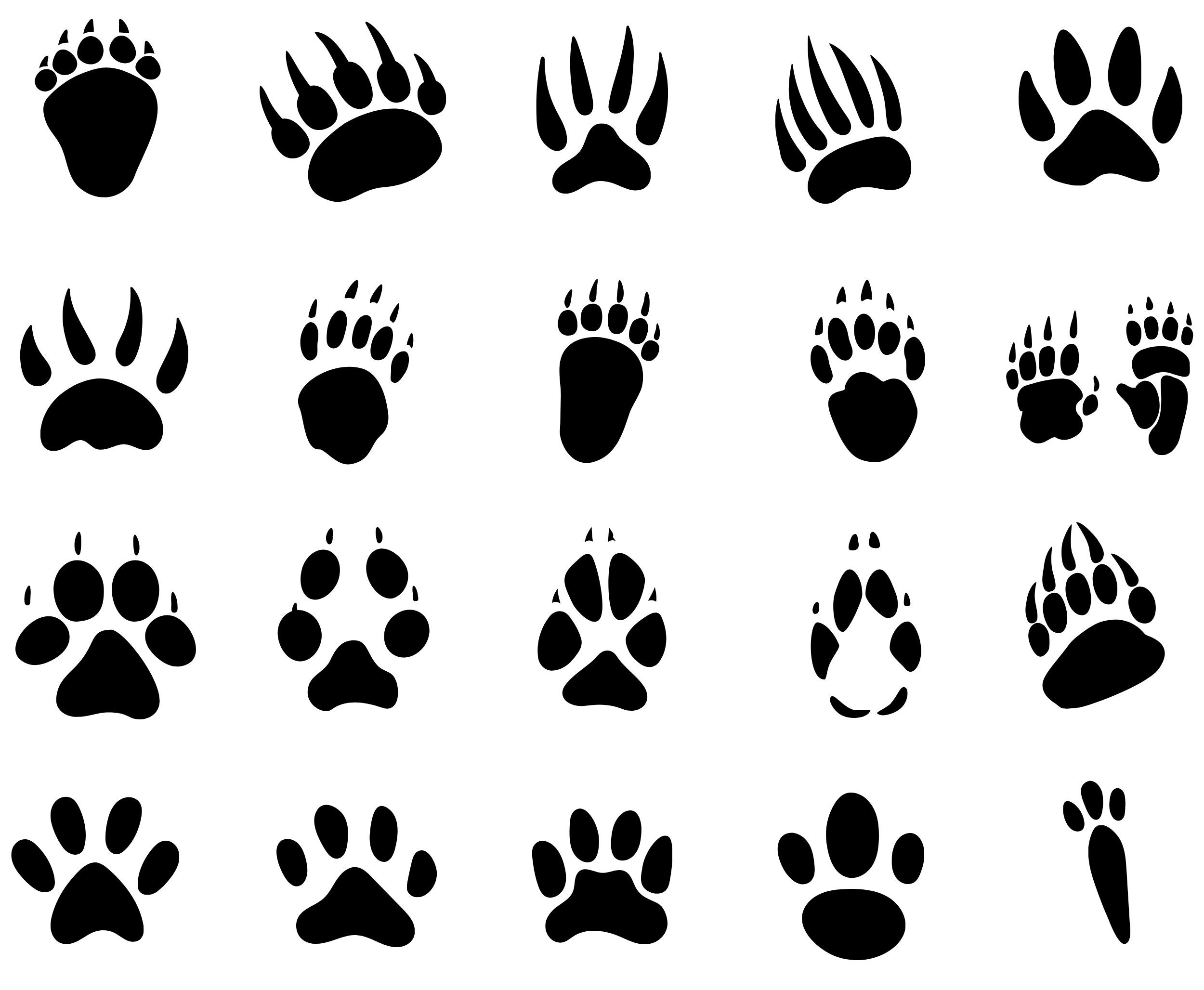 60 ANIMAL FOOTPRINTS Svg Bundle Footstep Svg Animal Paw CRICUT Wildlife ...