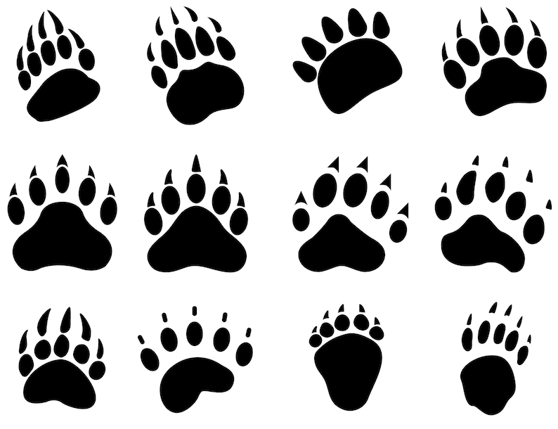 30 BEAR FOOTPRINTS SVG Bundle Monster Claw Cricut Bear Scratch - Etsy UK