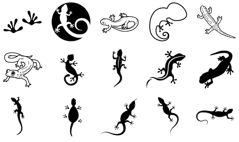 30 LIZARD SVG Bundle Gecko Cricut Reptile Png for Shirts Salamander Cut ...
