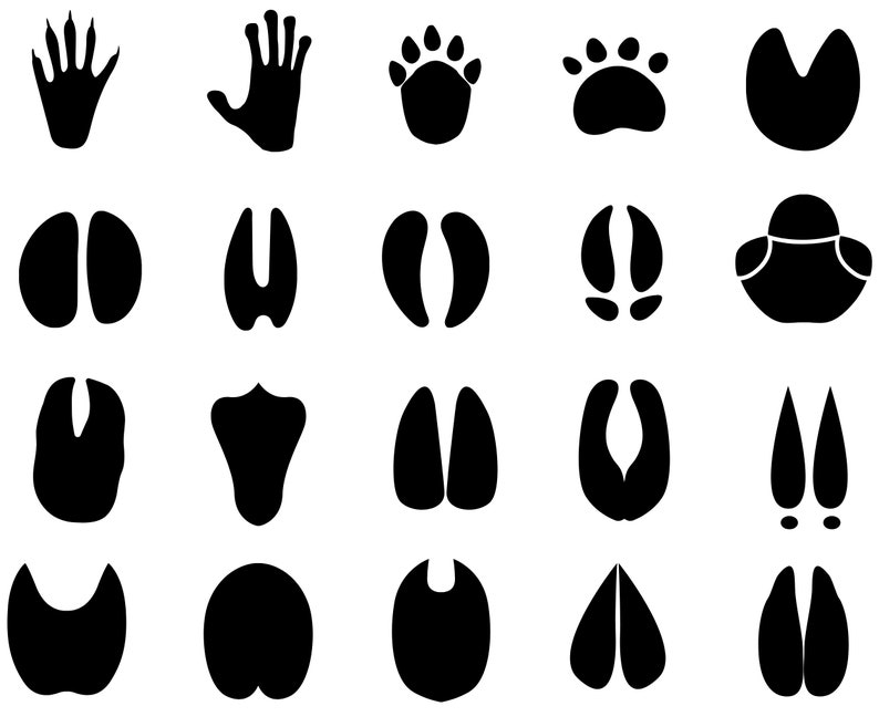 60 ANIMAL FOOTPRINTS Svg Bundle Footstep Svg Animal Paw CRICUT Wildlife ...