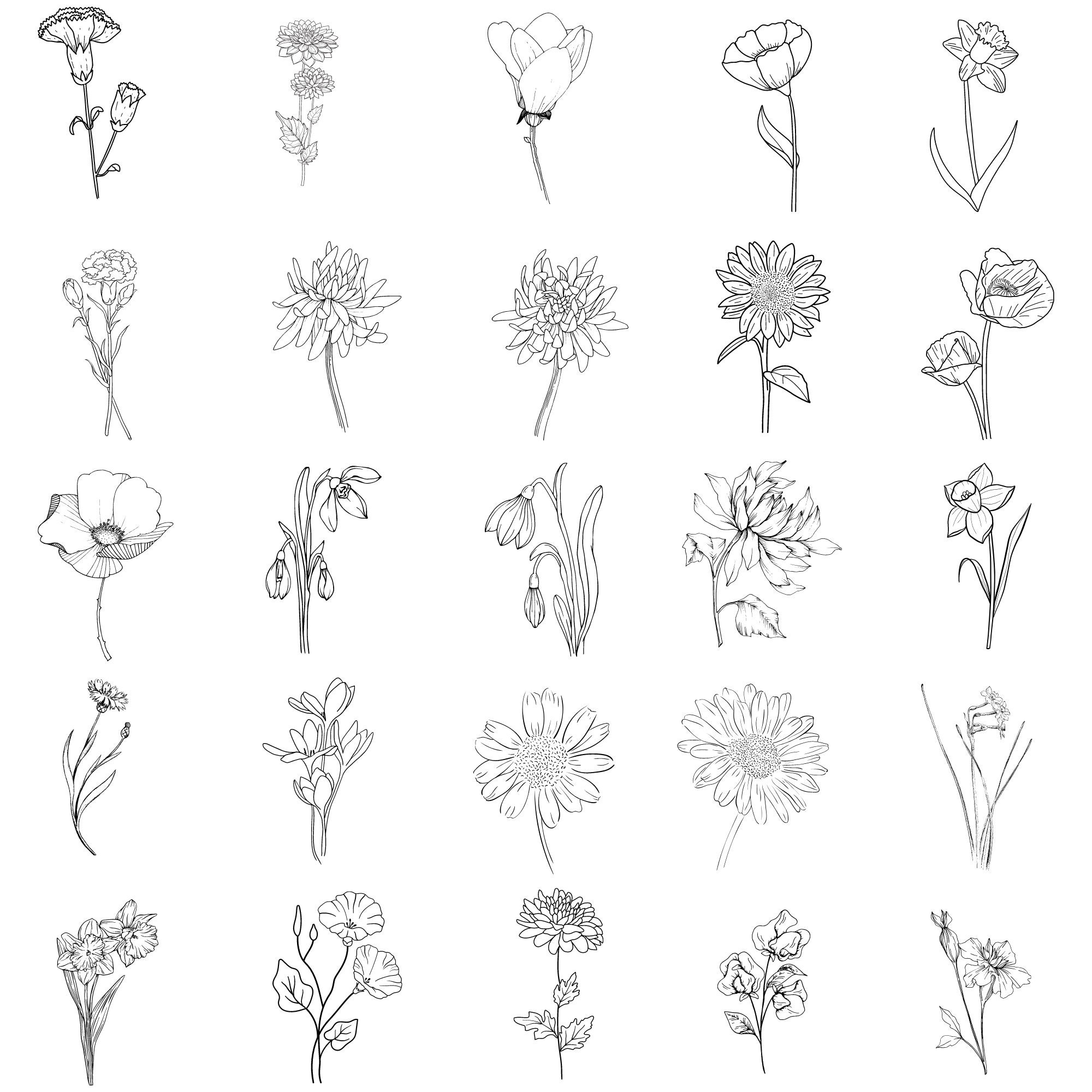 101 FLOWERS SVG Bundle Flower Hand Drawn PNG for Shirt Wildflowers Art ...
