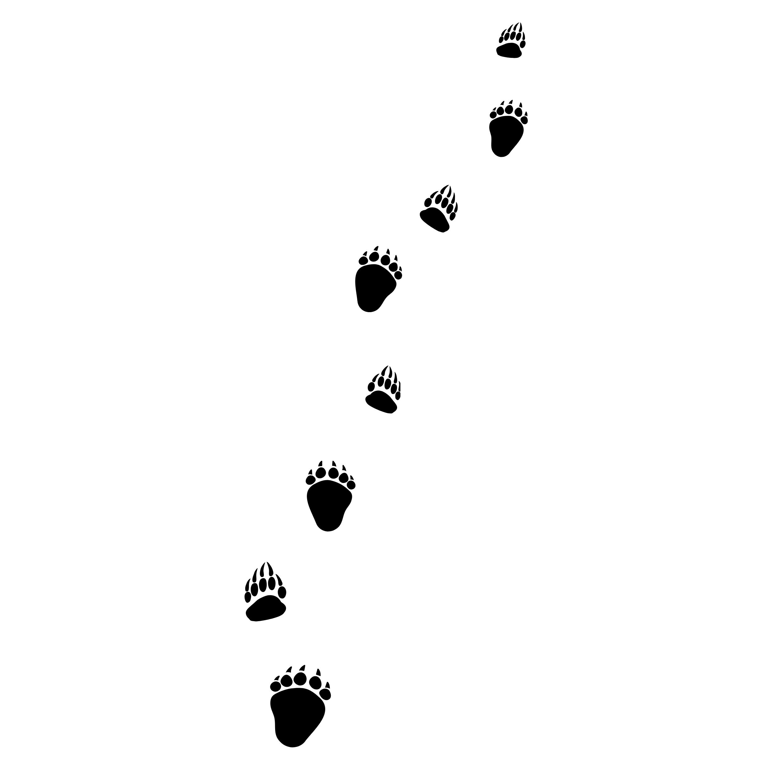30 BEAR FOOTPRINTS SVG Bundle Monster Claw Cricut Bear Scratch - Etsy UK