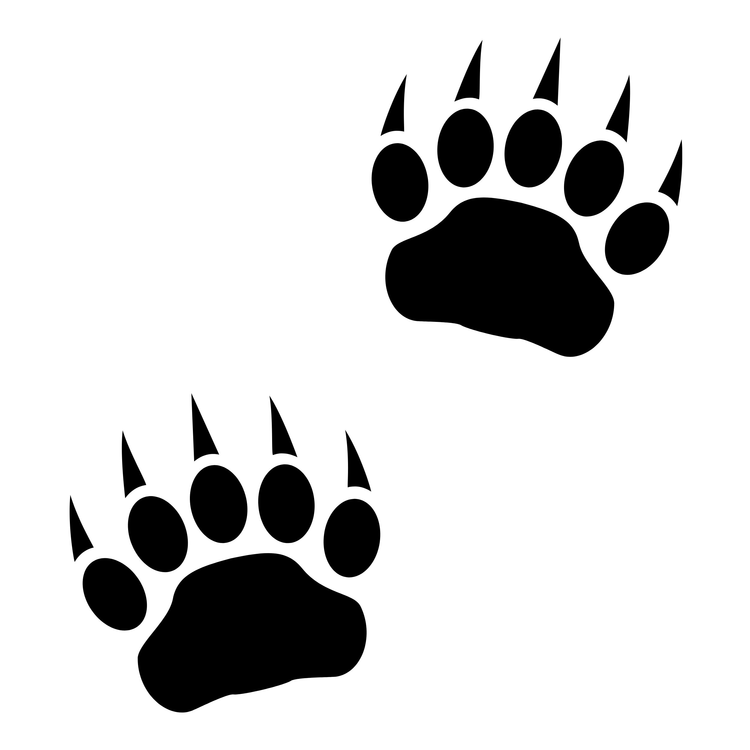 30 BEAR FOOTPRINTS SVG Bundle Monster Claw Cricut Bear Scratch - Etsy UK