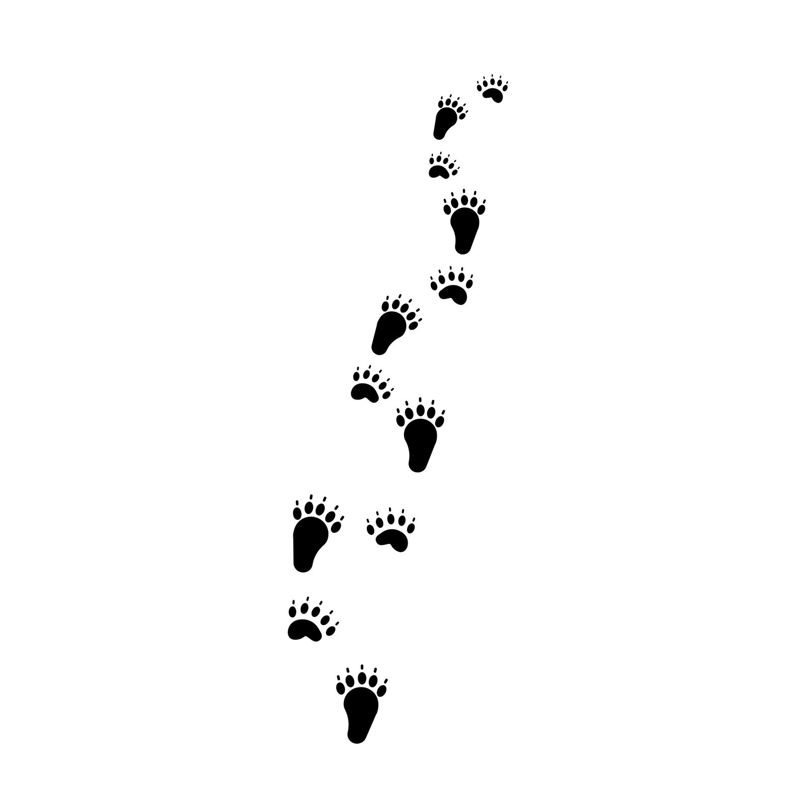 BEAR FOOTPRINTS SVG Monster Claw Cricut Bear Tracks Png - Etsy