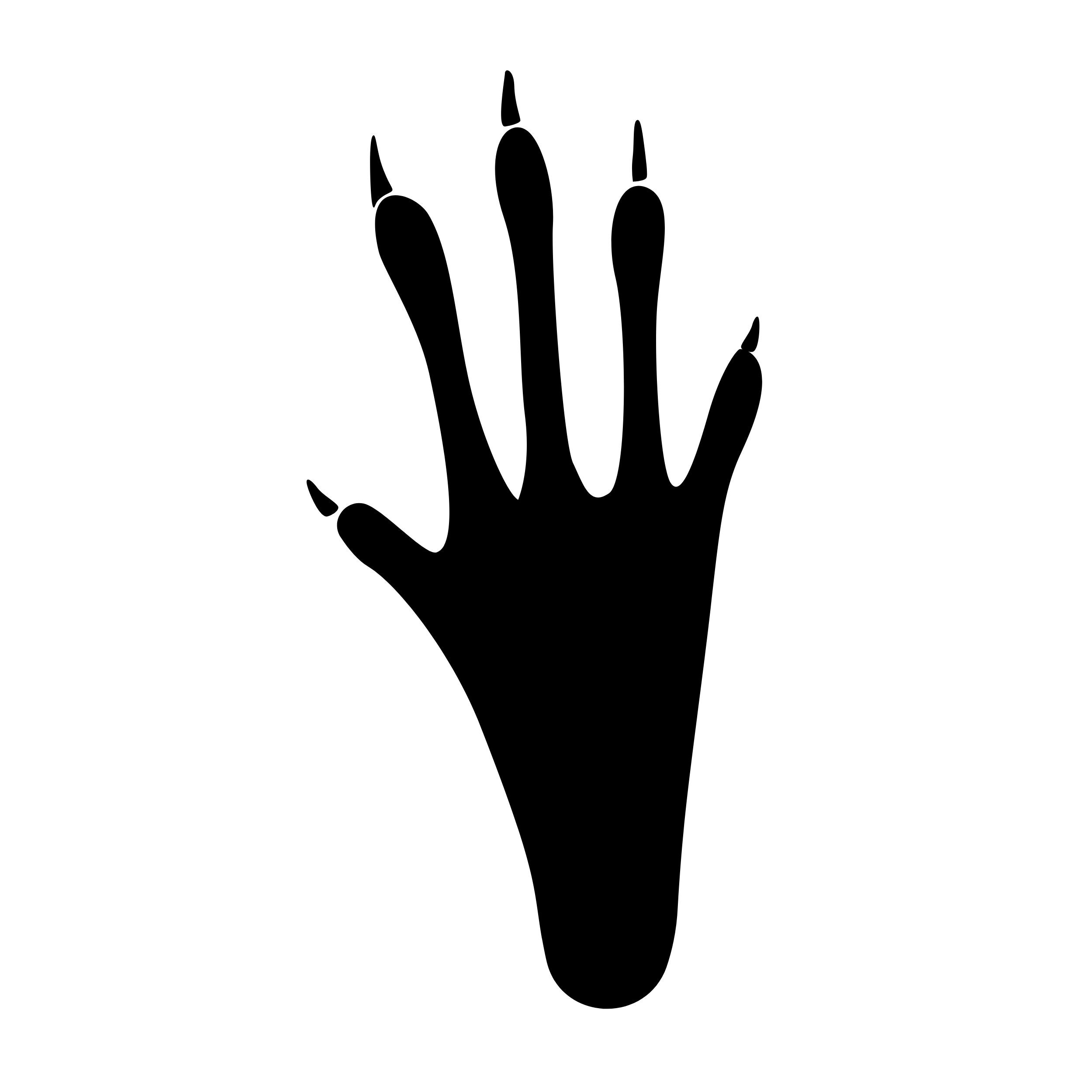 60 ANIMAL FOOTPRINTS Svg Bundle Footstep Svg Animal Paw CRICUT Wildlife ...