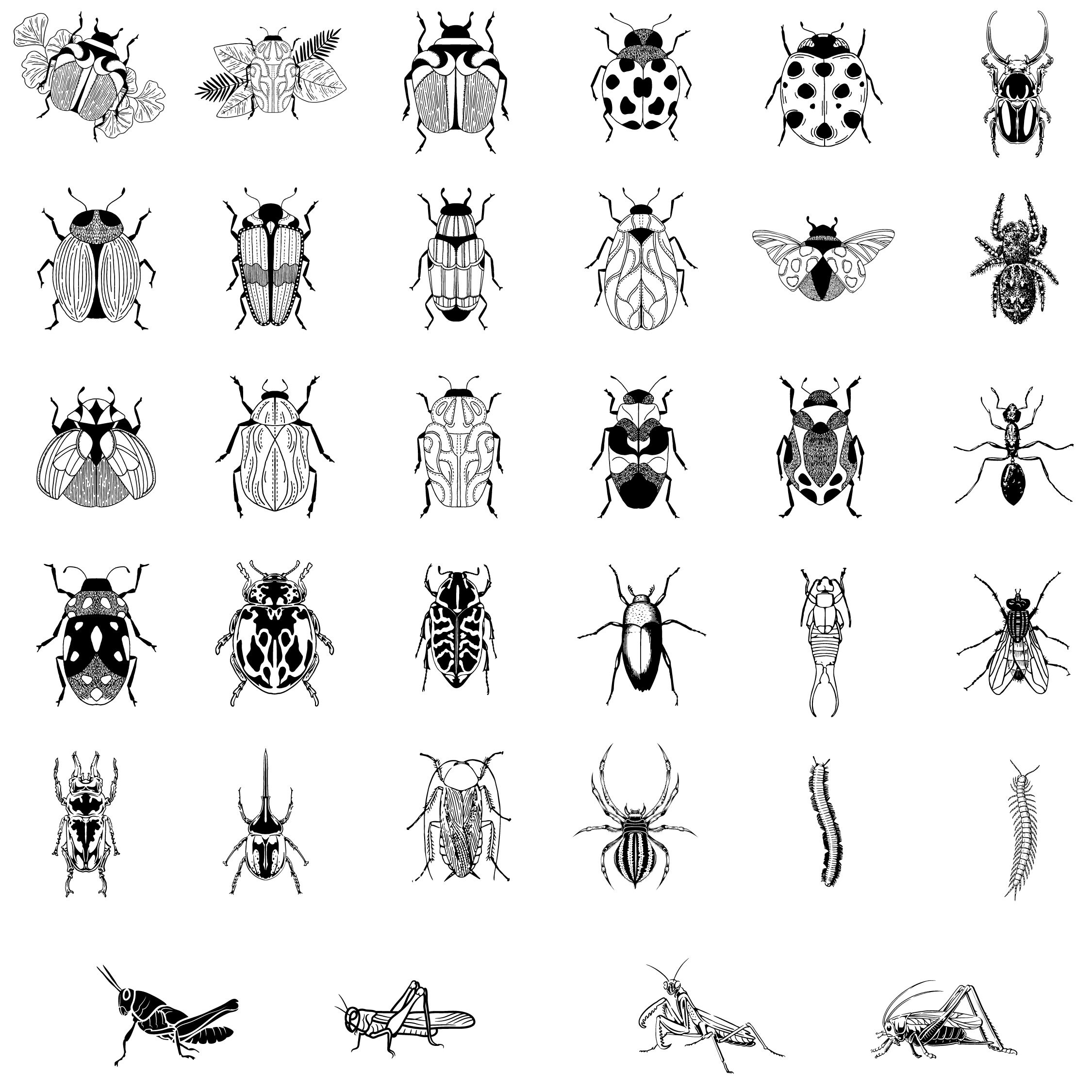 84 INSECT BUNDEL SVG Butterfly Silhouette Svg Bugs Clipart Bee Vector ...