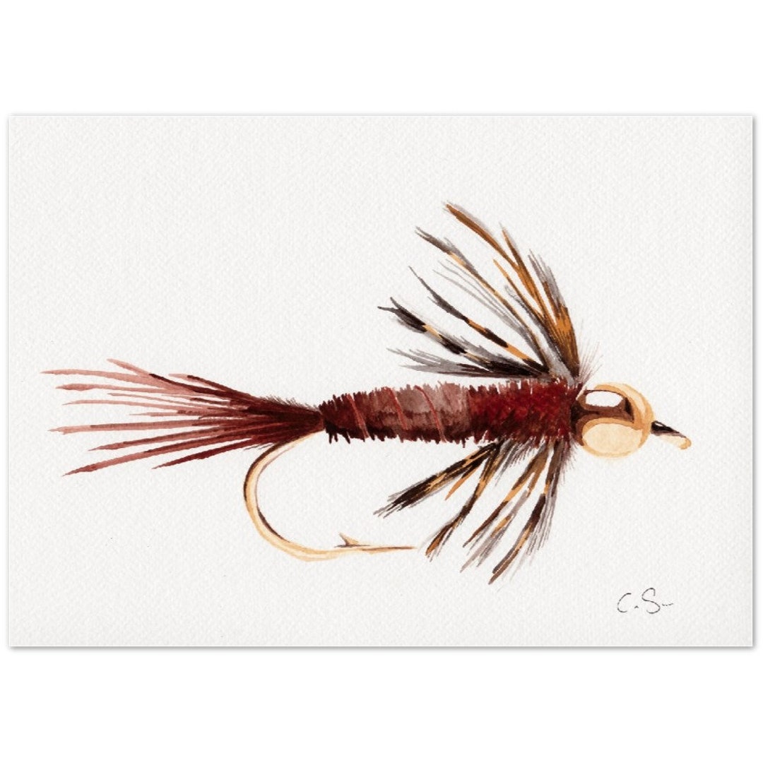 Watercolor Print - Fly Fishing Art - Pheasant Tail Fly - Handmade Art ...