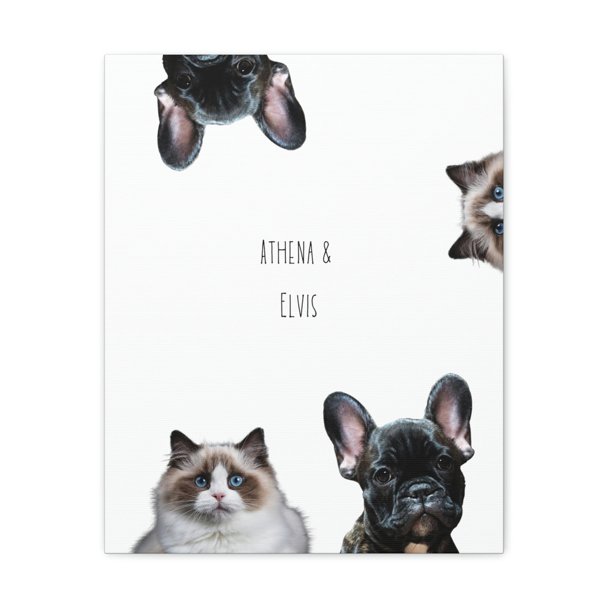 Custom Pet Canvas Photo, Personalized Pet Gift, Custom Pet Gift, Gift ...