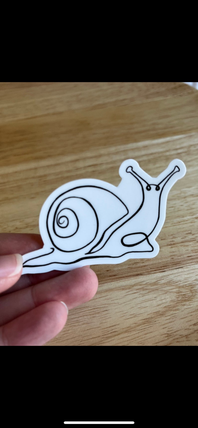 Snail Sticker - Etsy