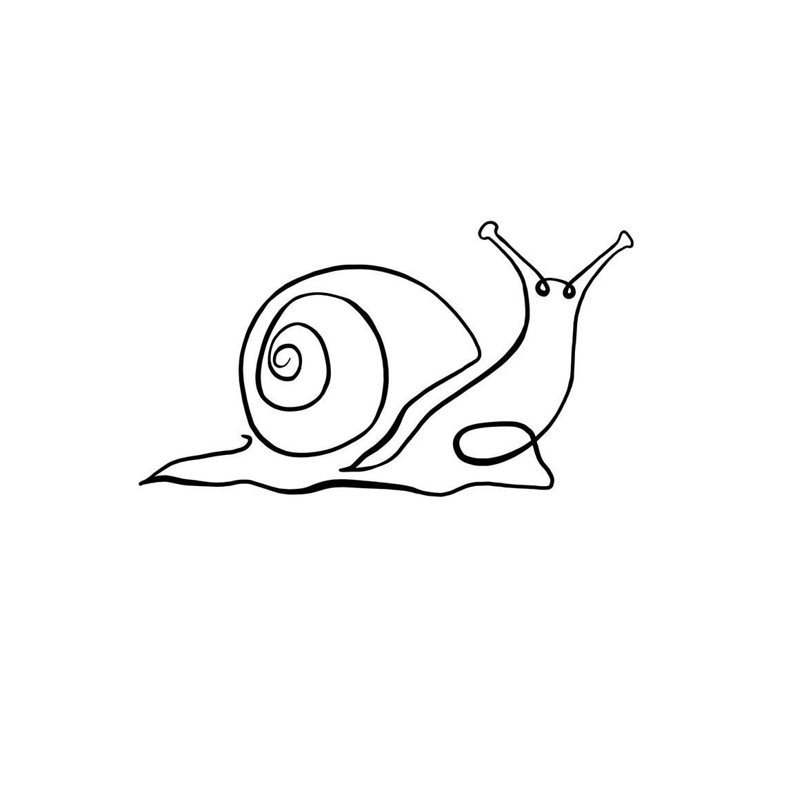 Snail Sticker - Etsy