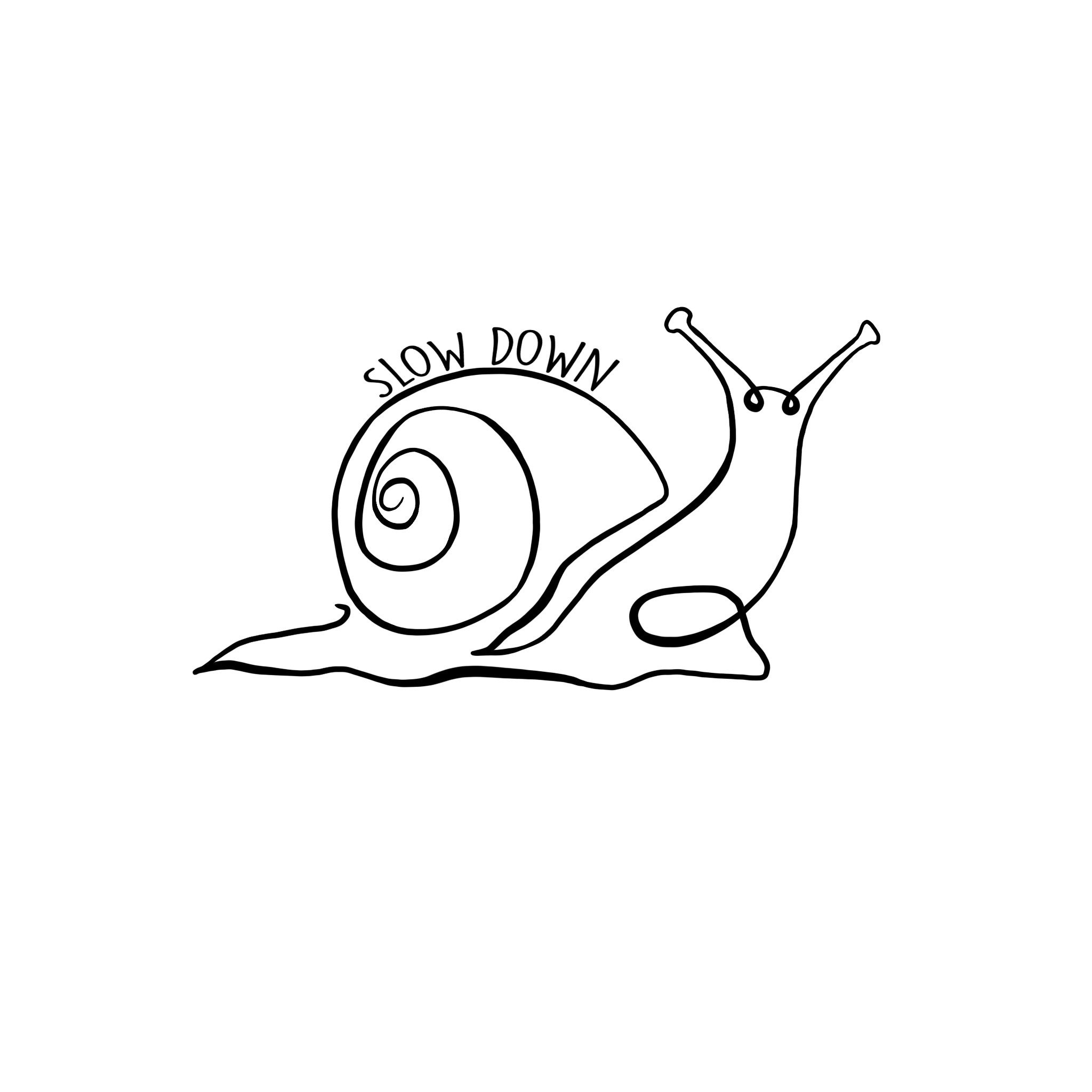 Snail Line Drawing