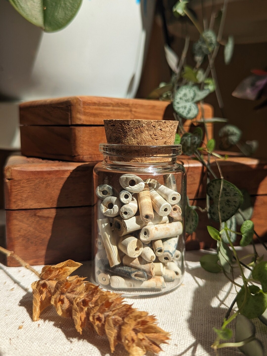 Antique Clay Pipe Stems in a Jar / / 16th-18th Century Oddity & Curio ...