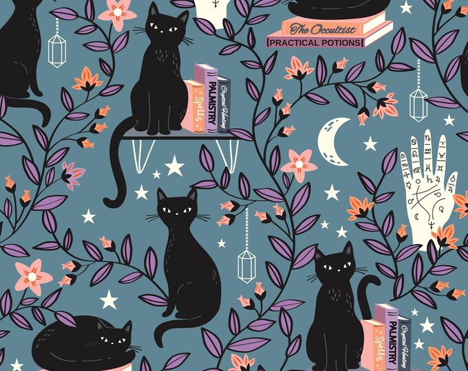 Curious Cats - Spellbound - Sally Mountain - Dashwood Studios - Etsy