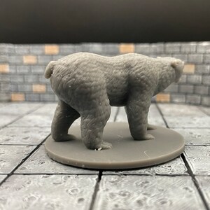 Bears Beast Black Bear Brown Bear Polar Bear Forest Arctic Tabletop RPG ...