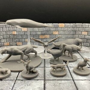Arctic Druid Wild Shapes Gift Set Fox, Goose, Narwhal, Otter, Owl ...