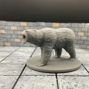Bears Beast Black Bear Brown Bear Polar Bear Forest Arctic Tabletop RPG ...