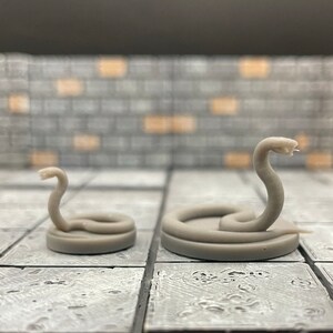 Snakes | Constrictor Snake | Poisonous Snake | Giant Snakes | Swamp ...