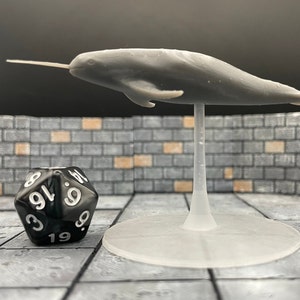 Whales Narwhal Killer Whale Tabletop RPG Mz4250 3D Printed Miniatures ...