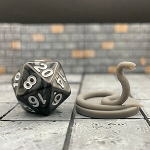 Snakes | Constrictor Snake | Poisonous Snake | Giant Snakes | Swamp ...