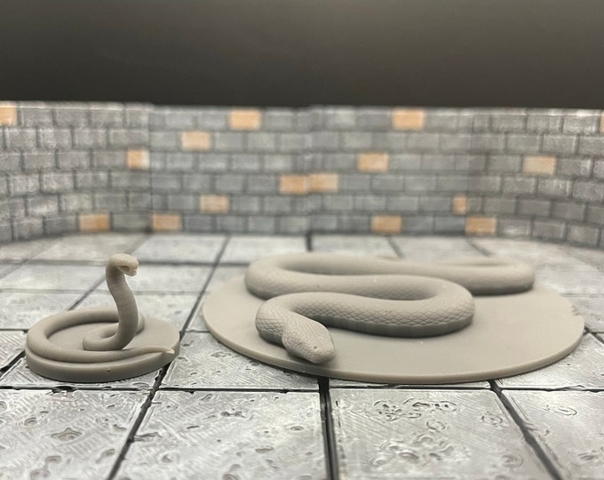 Snakes | Constrictor Snake | Poisonous Snake | Giant Snakes | Swamp ...