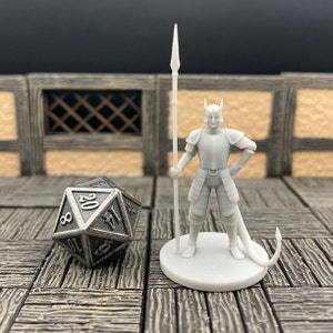 Guards | NPC | Human Guard | Tiefling Guard | Female Guard | Spear and ...