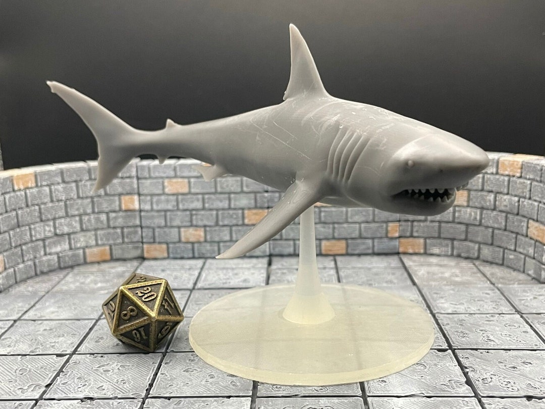 Sharks | Reef Shark | Hunter Shark | Giant Shark | Coastal Beast ...