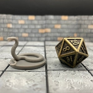 Underdark Druid Wild Shapes Gift Set Bat, Centipede, Fire Beetle, Rothe ...