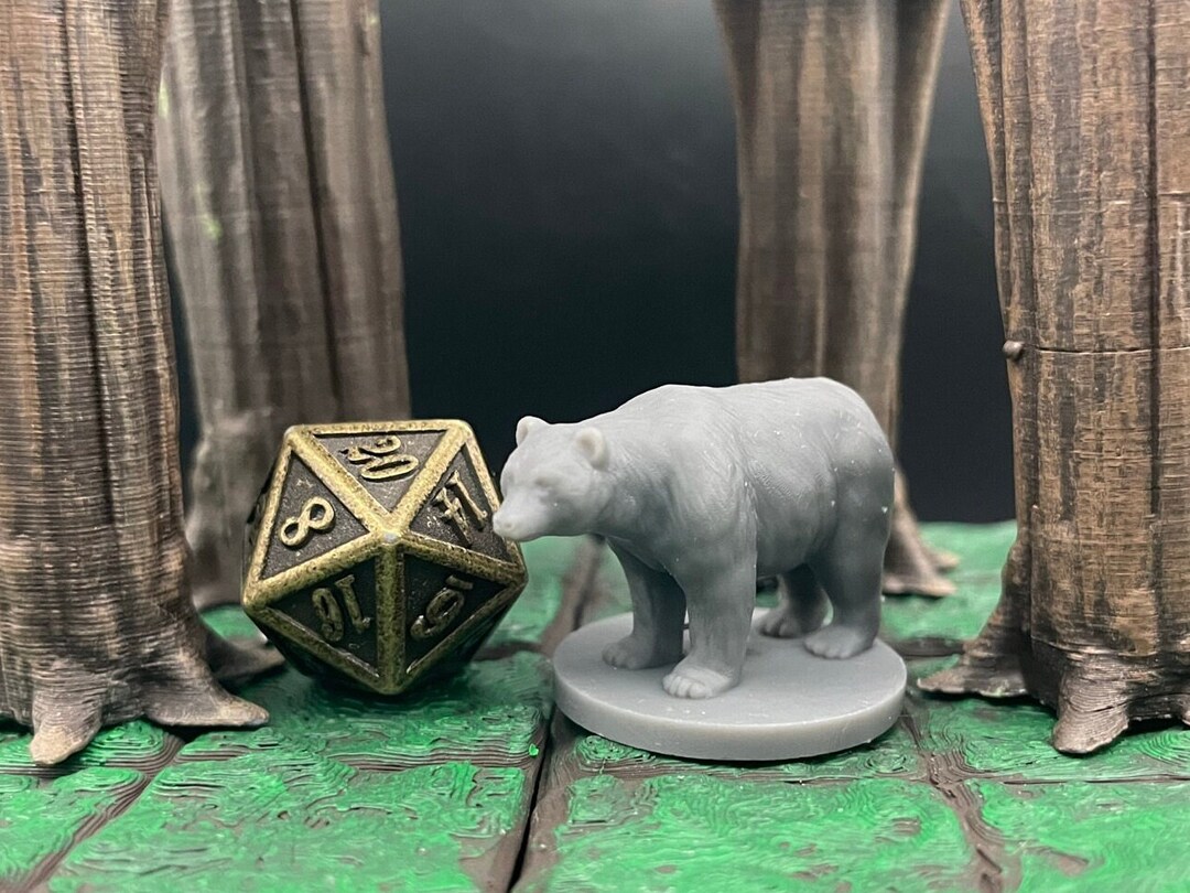 Bears | Beast | Black Bear | Brown Bear | Polar Bear | Forest | Arctic ...