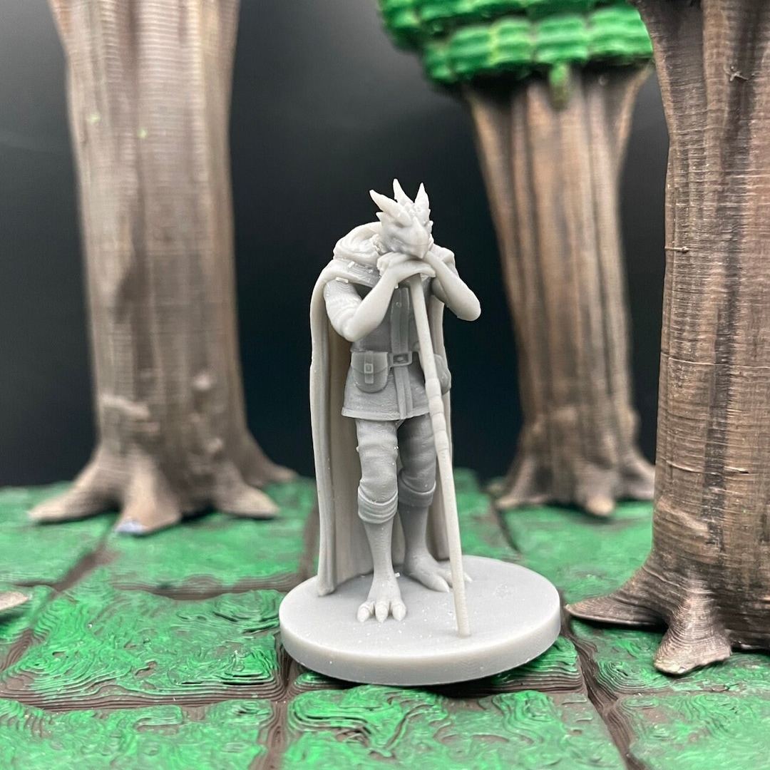 Dragonborn Male Druids Tabletop RPG Mz4250 3D Printed - Etsy