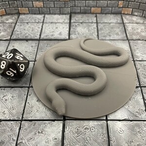 Snakes | Constrictor Snake | Poisonous Snake | Giant Snakes | Swamp ...