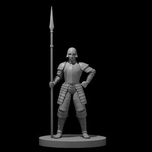 Guards | NPC | Human Guard | Tiefling Guard | Female Guard | Spear and ...