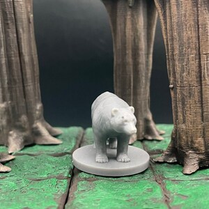Bears Beast Black Bear Brown Bear Polar Bear Forest Arctic Tabletop RPG ...