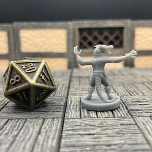 Kobold Sorcerer Adventurer Gecko Kobold Crazy Eyes Tabletop RPG Mz4250 ...