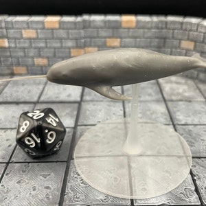Whales Narwhal Killer Whale Tabletop RPG Mz4250 3D Printed Miniatures ...