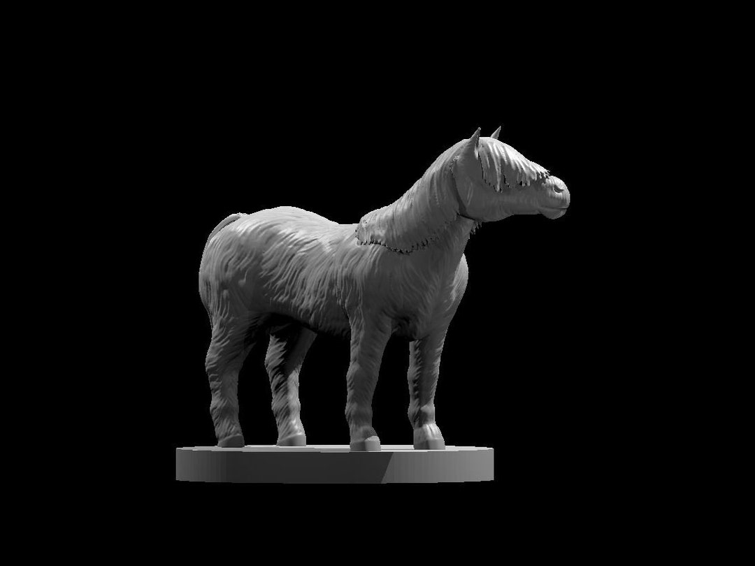 Ponies | Beast | Pony Mount | Mini Surface | Tabletop RPG | Mz4250 | 3D ...