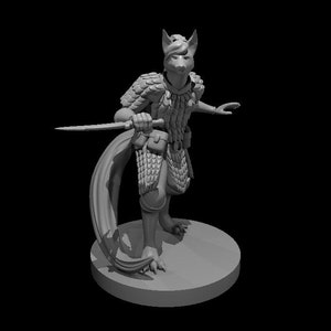 Humanoid Clerics | Kitsune | Lizardfolk | Fish Folk | Grung | Tabletop ...