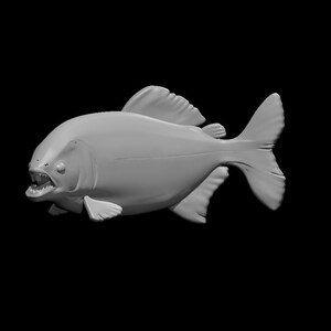 Quipper Fish (set of Two) | Tabletop RPG | Mz4250 | 3D Printed ...