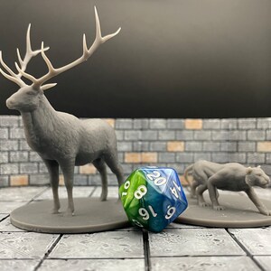 Forest Druid Wild Shapes | Gift Set | Ape, Badger, Bear, Elk, Hawk ...