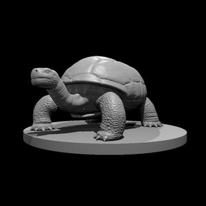 Giant Reptiles | Giant Lizards | Giant Tortoise | Mount With Saddle ...