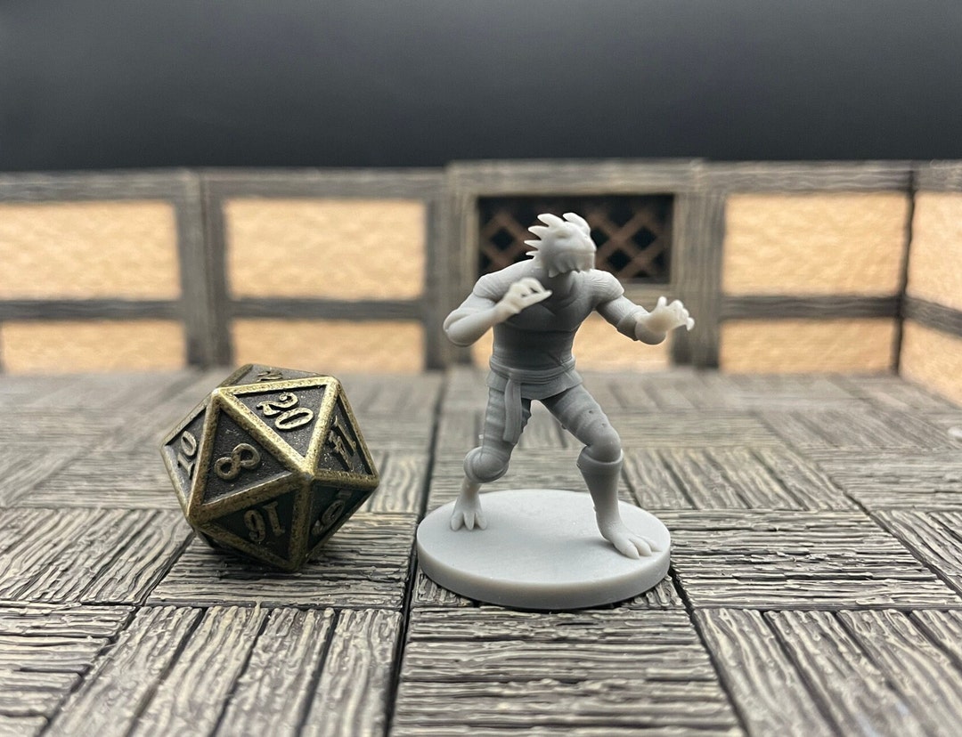 Dragonborn Male Monks | Gold Dragonborn | Red Dragonborn | Tabletop RPG ...