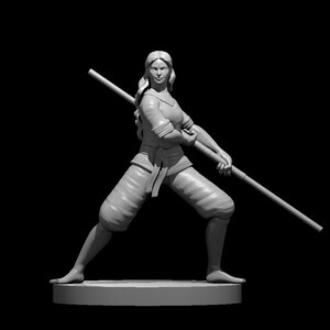Human Female Monks Acrobatic Warrior Butler Ninja Tabletop RPG Mz4250 ...