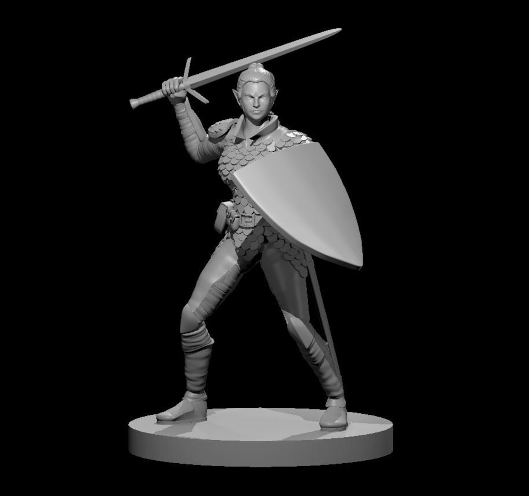 Elven Female Paladins Holy Warriors Sword and Shield French Braid ...