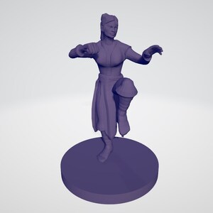 Human Female Monks | Acrobatic | Warrior | Butler | Ninja | Tabletop ...