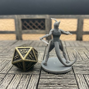 Tiefling Female Rangers Two Sword Ranger Winged Tiefling Flame Bow ...