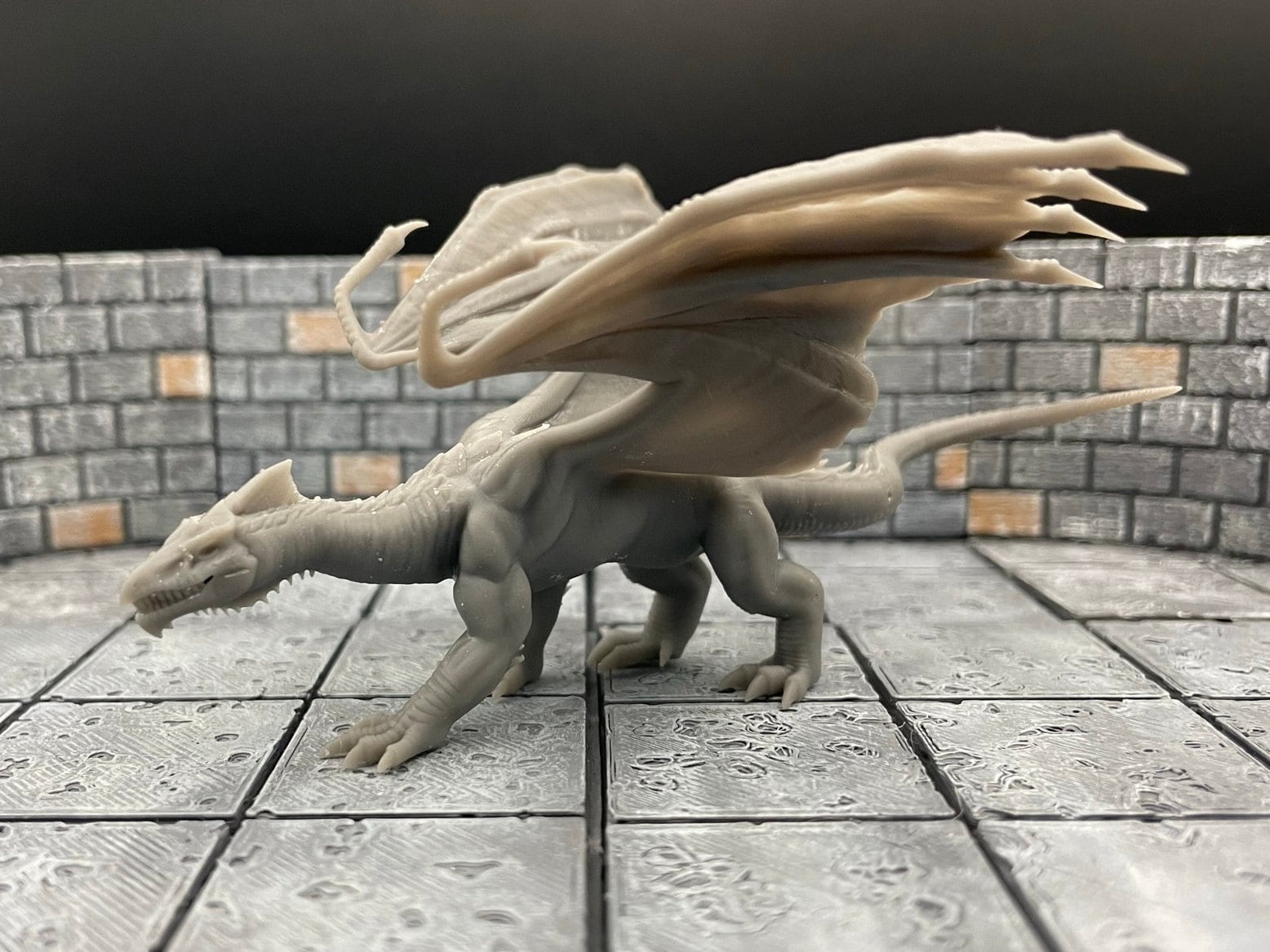 Chromatic Young White Dragon Tabletop RPG Mz4250 3D - Etsy
