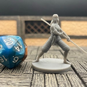 Human Female Monks | Acrobatic | Warrior | Butler | Ninja | Tabletop ...