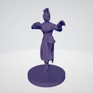 Human Female Monks | Acrobatic | Warrior | Butler | Ninja | Tabletop ...